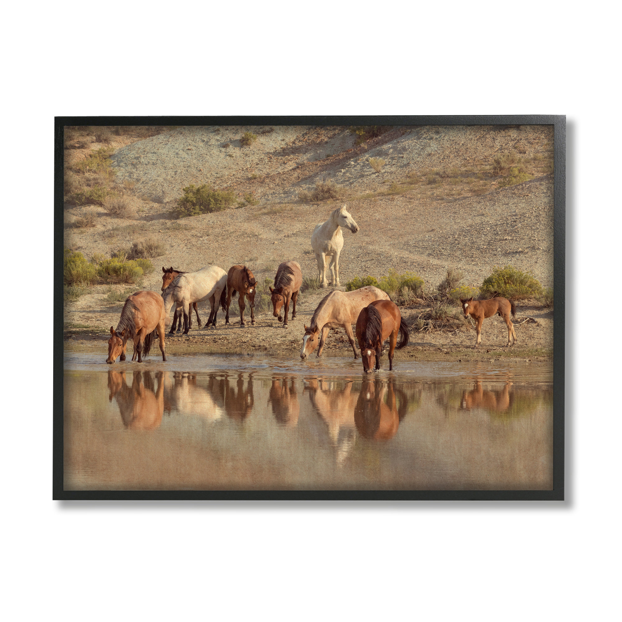 Stupell Industries Horses Drinking Countryside Giclee Texturized Wall Art By Jan Walters | Wayfair